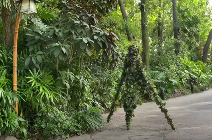 divine | Pirates & Princesses