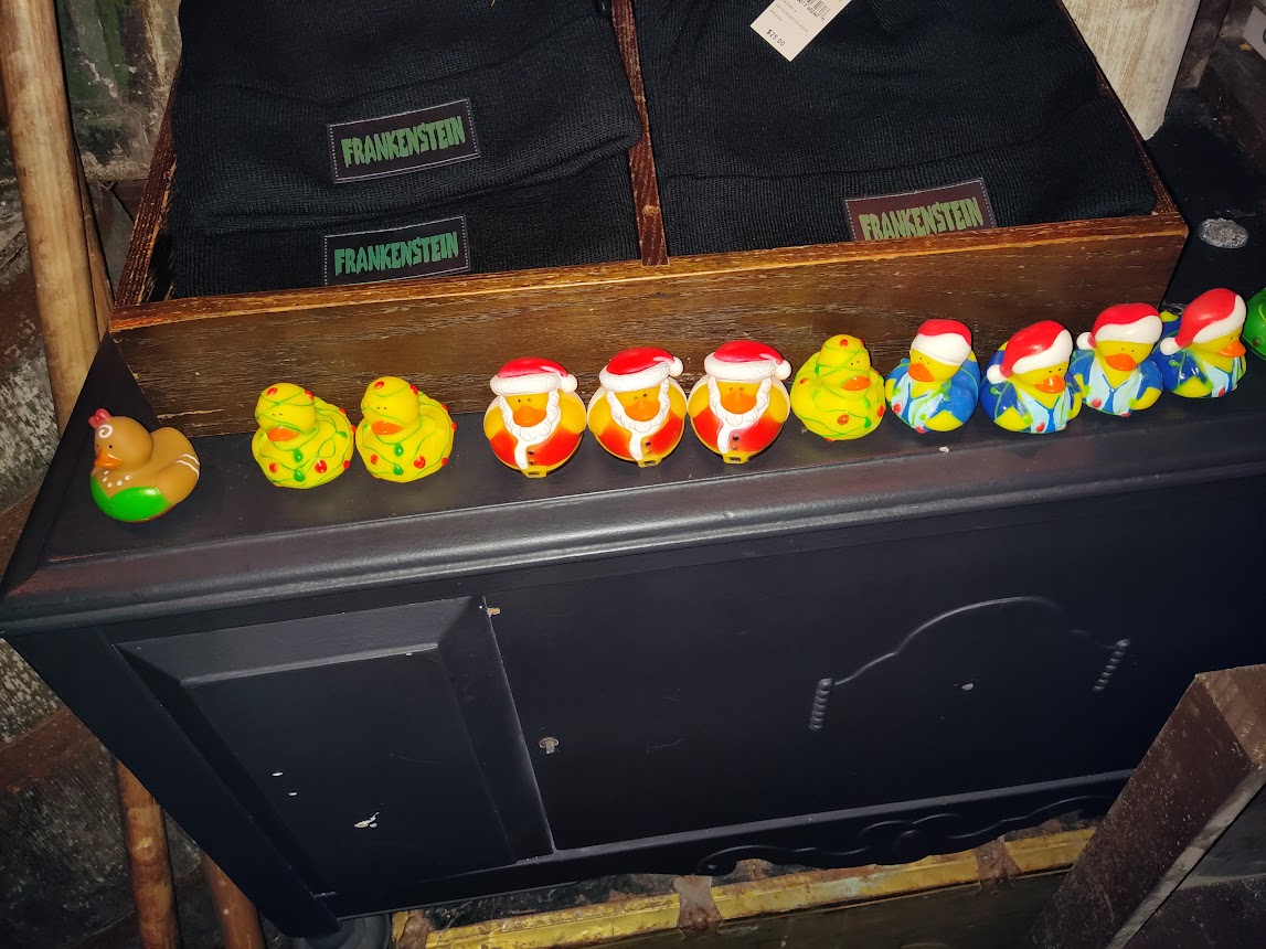 ducks monday | Pirates & Princesses