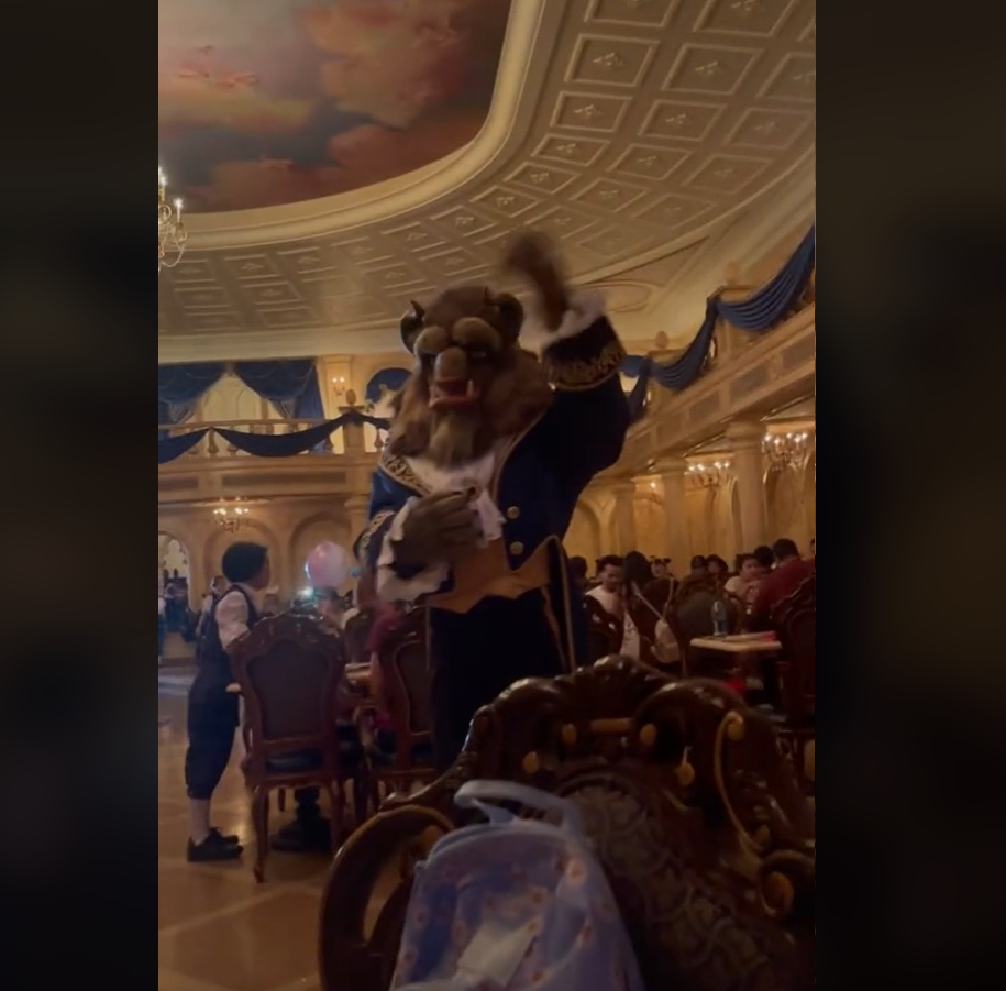 be-our-guest-head-incident-beast | Pirates & Princesses