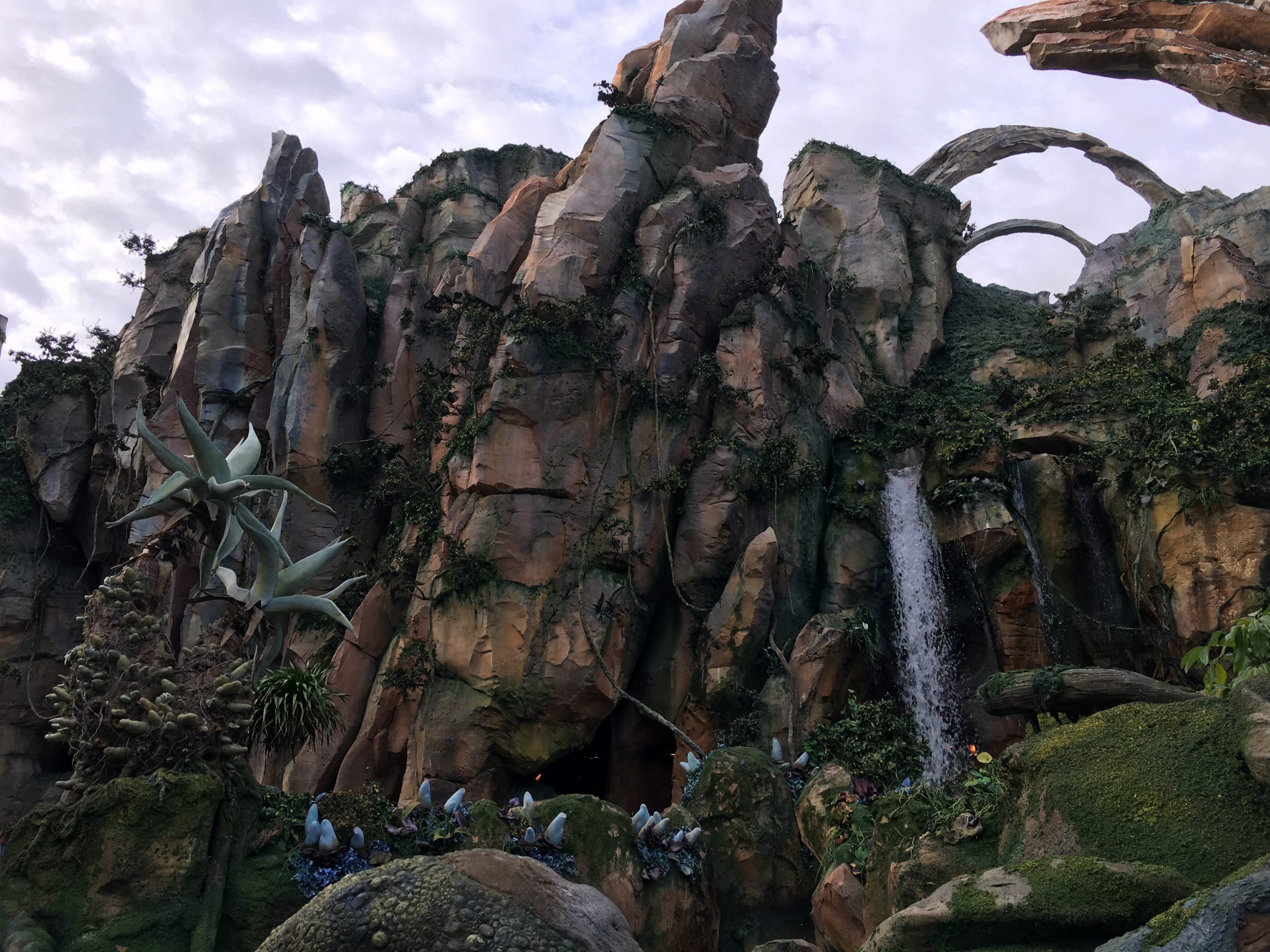 pandora-2-animal-kingdom | Pirates & Princesses