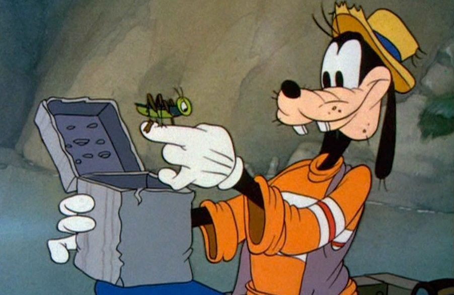 | Pirates & Princesses