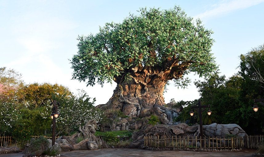 What Are The Most Popular Attractions at Walt Disney World’s Animal ...