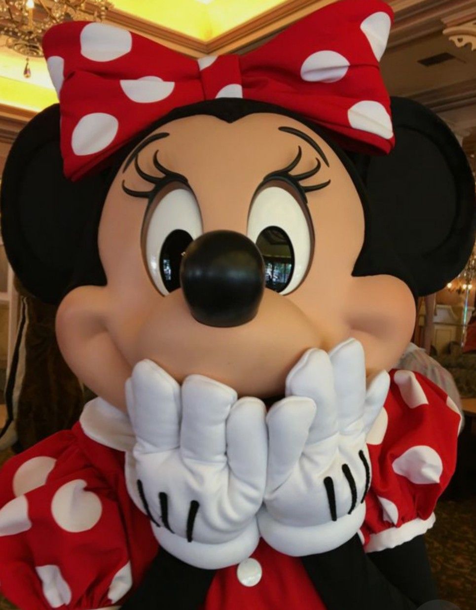 Minnie Mouse Shocked