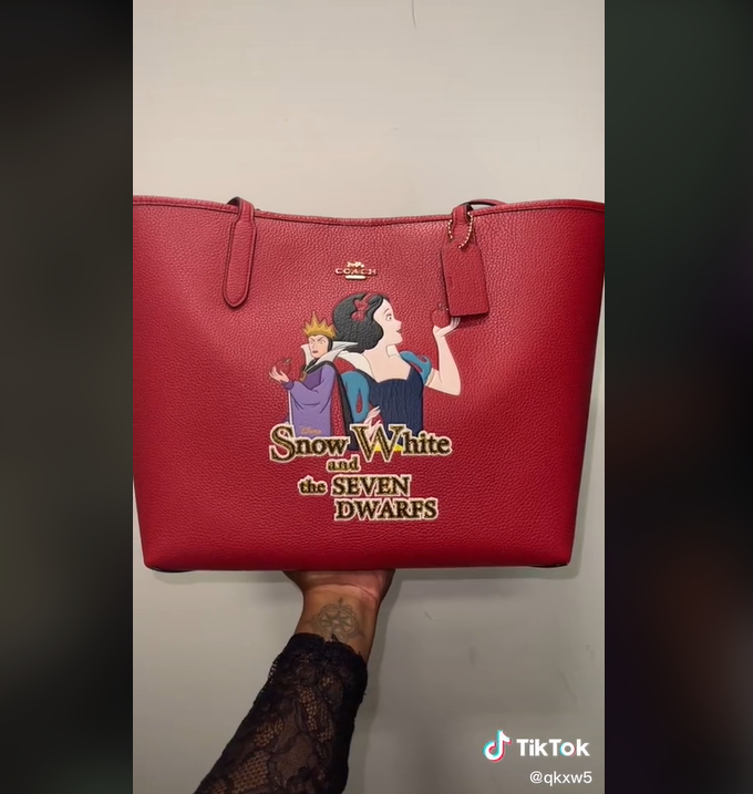 disney-x-coach-evil-queen-snow-white | Pirates & Princesses