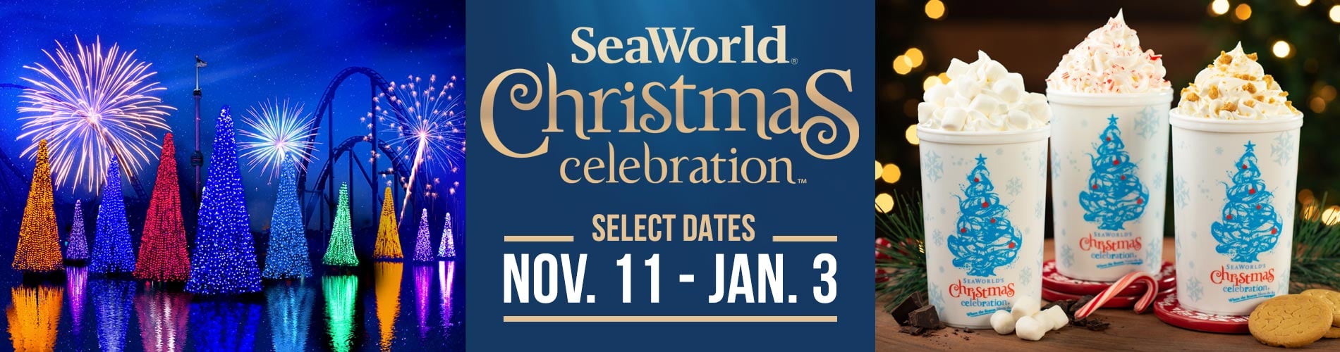 1900x500-SWO-2022-Christmas-Celebration-Banner | Pirates & Princesses