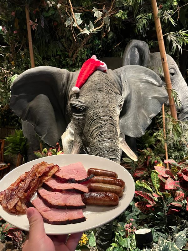 Review: Breakfast with Santa at Rainforest Café Disney Springs