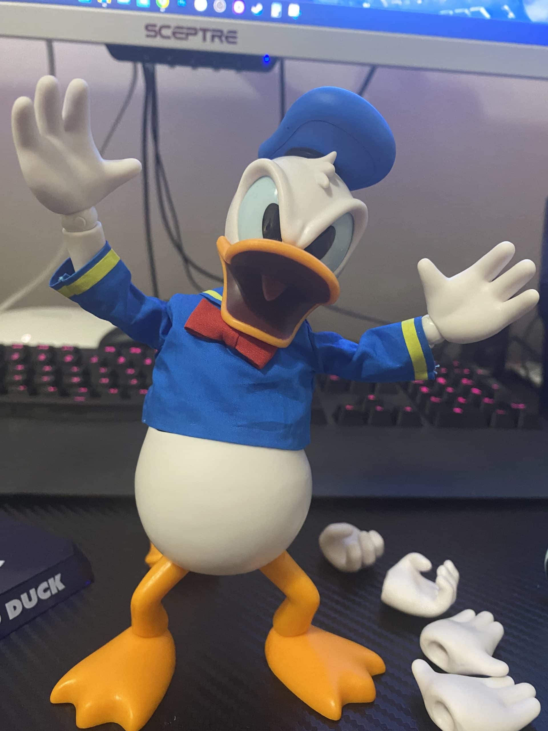 DAH-DONALD-REVIEW-008 | Pirates & Princesses