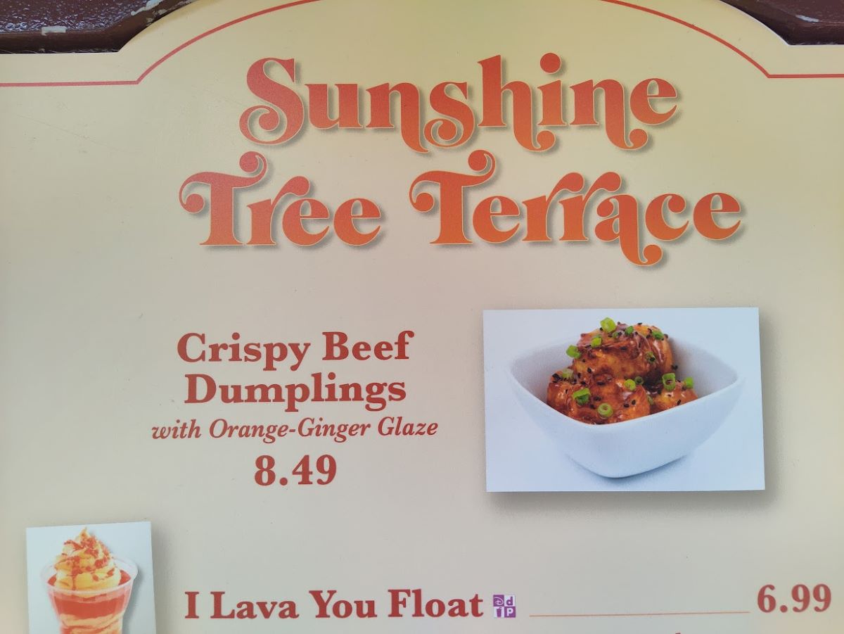 sunshine tree terrace crsipy beef dumplings menu | Pirates & Princesses