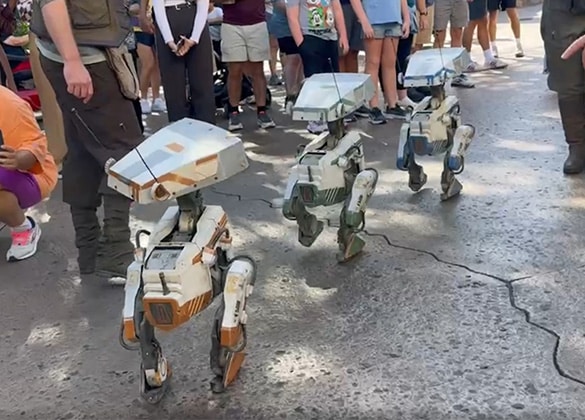 Star Wars BD-1 Droids Paraded Through Galaxy's Edge!
