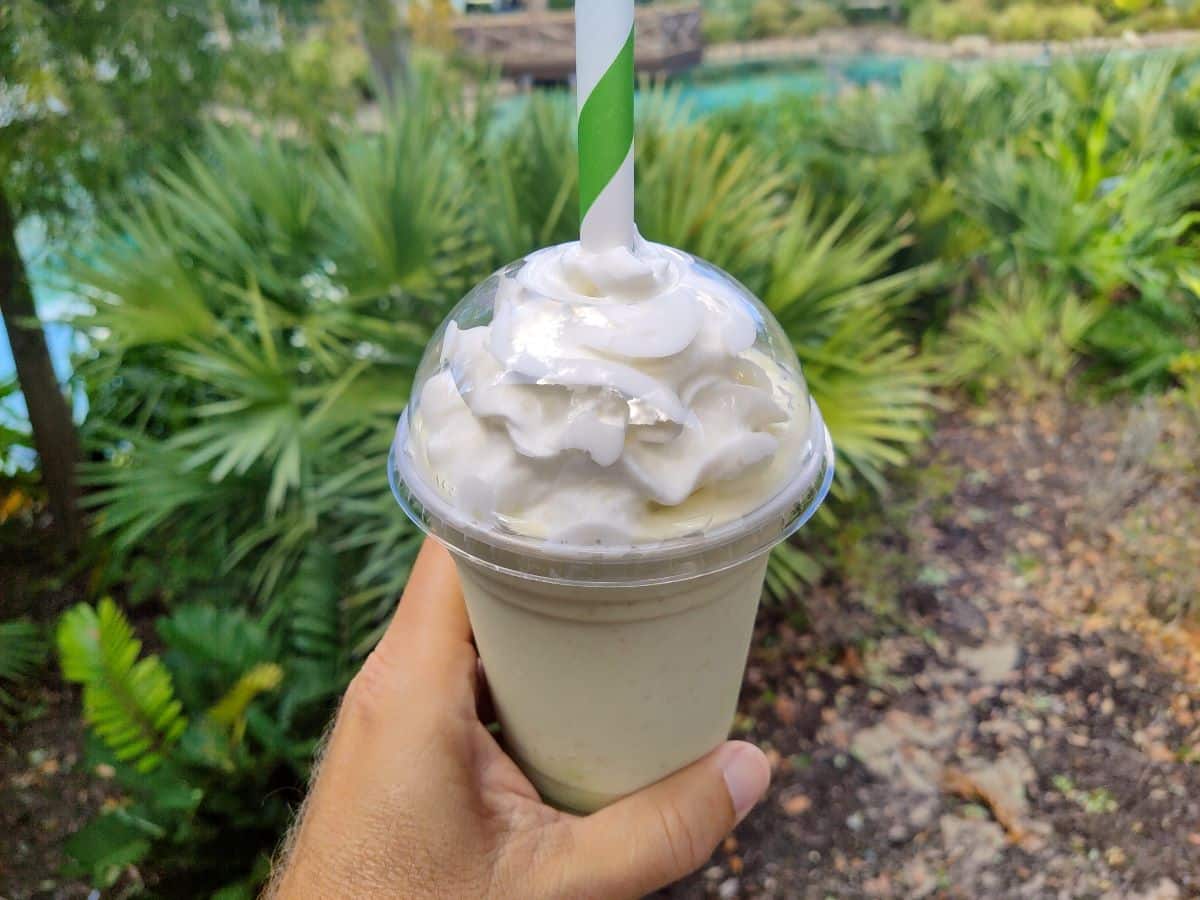 Review: Caramel Apple Pie Shake D-Lux Burger Disney Springs