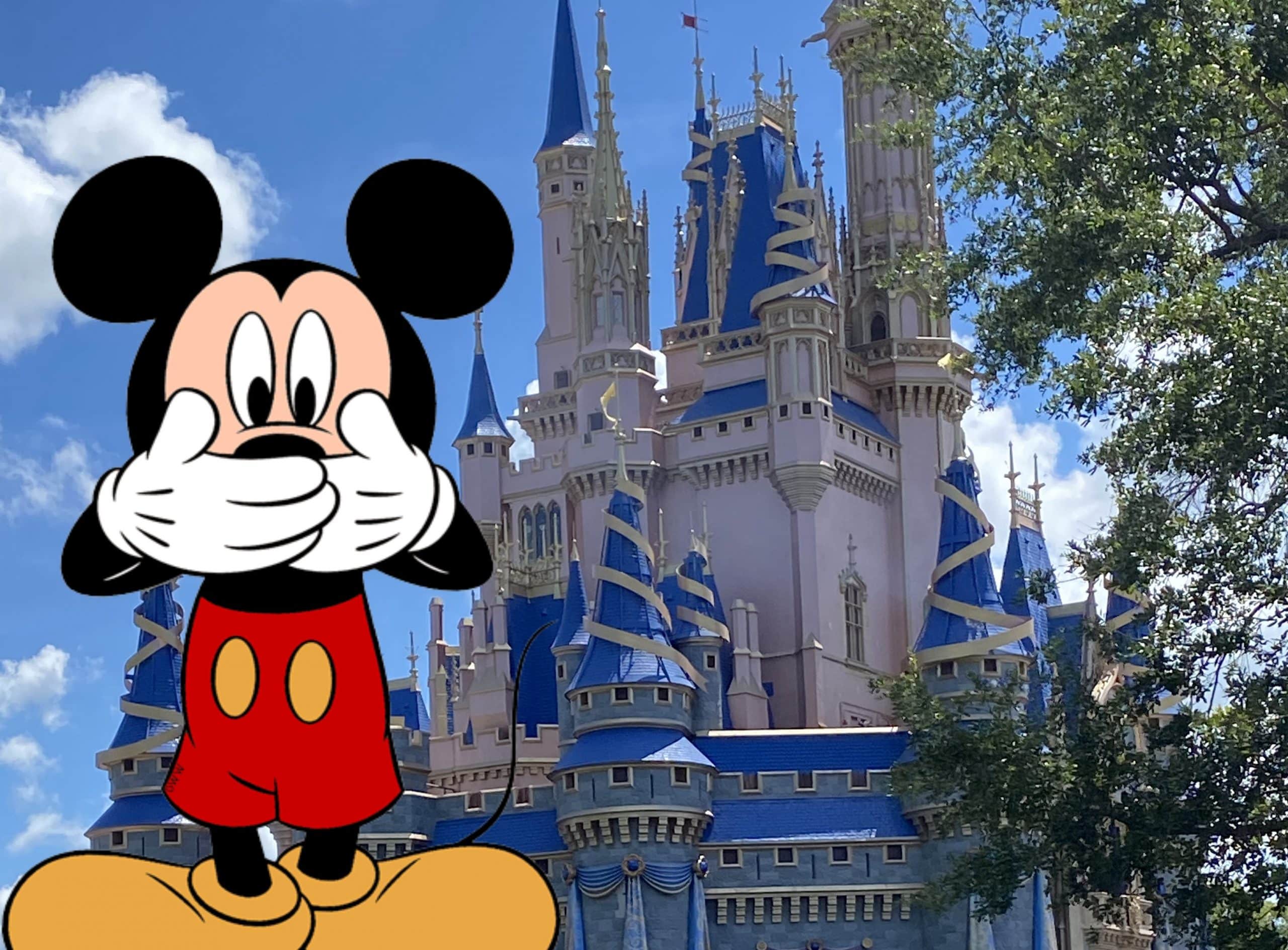 Disney Lighting Lane Premier Prices Will Hit Their Peak Starting on ...