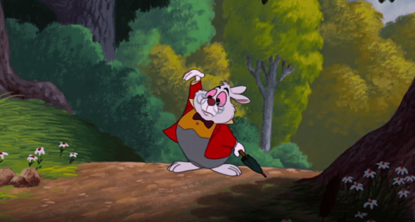 disney-white-rabbit | Pirates & Princesses