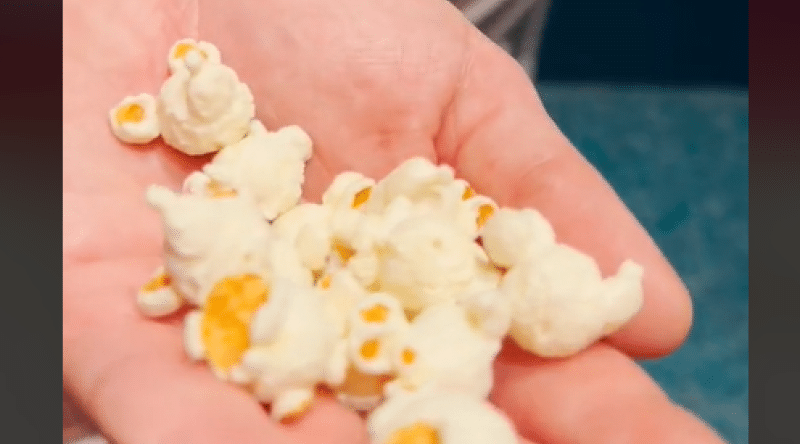 Can You Find Mickey Shaped Popcorn At Disney Parks?