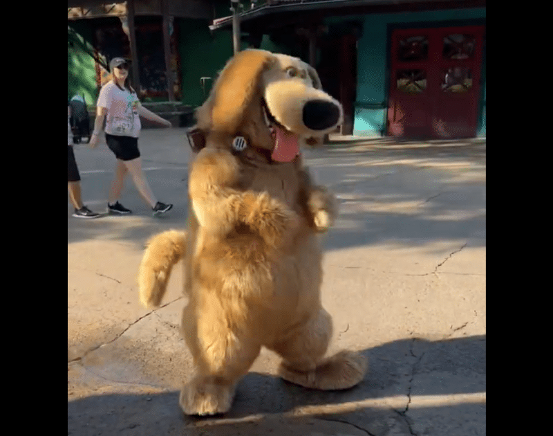 Disney Unveils a Talking Dug From "UP!" at Disney's Animal Kingdom
