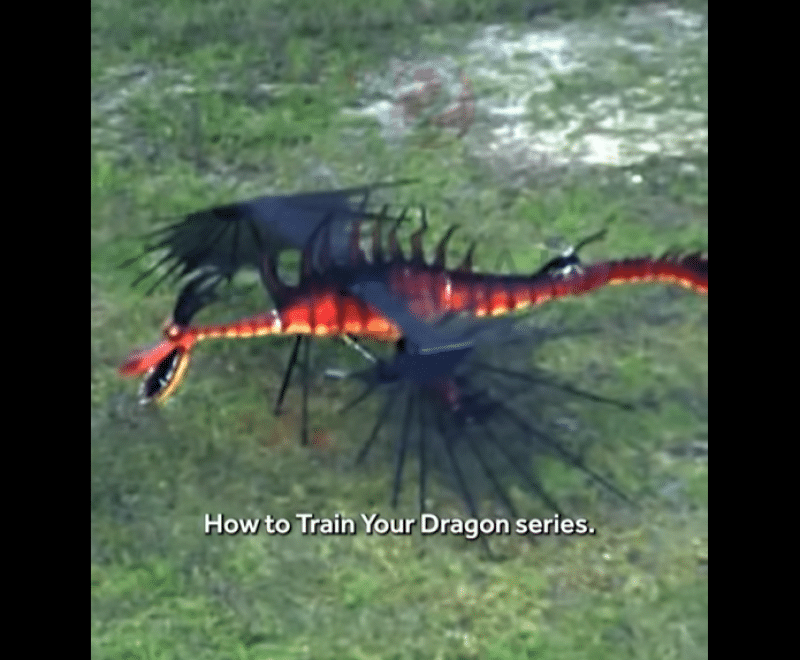 Look At The Hookfang Dragon Drone From Epic Universe! WOW!